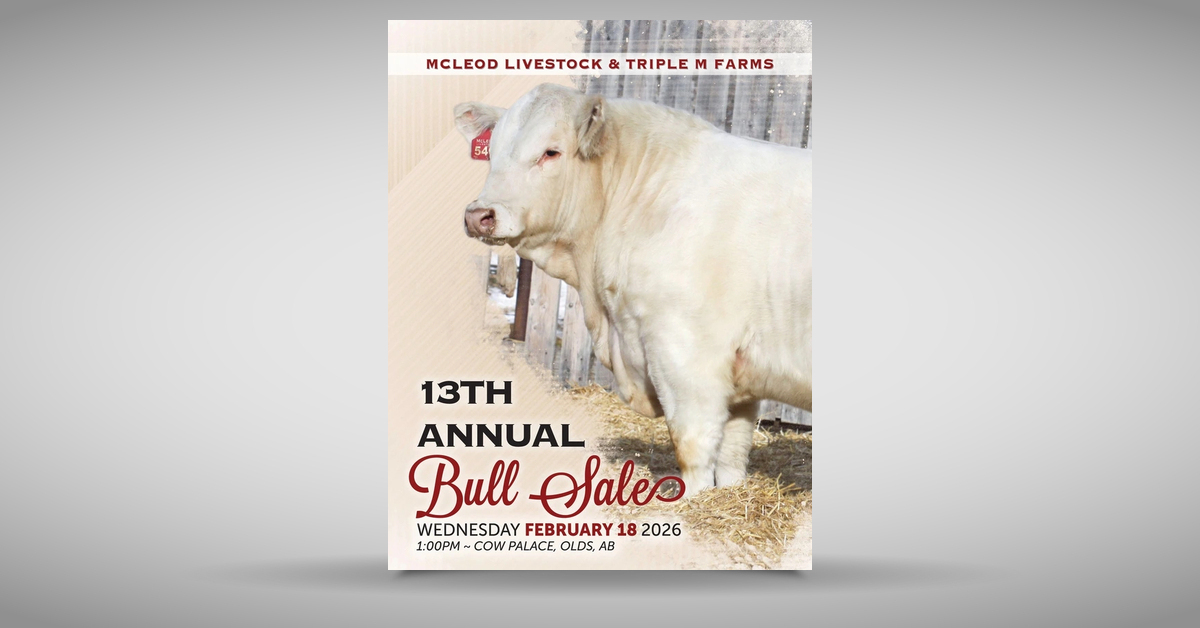 McLeod Livestock & Triple M Farms 13th Annual Bull Sale 2026