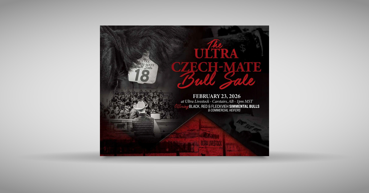 Ultra/Czech-Mate 9th Annual Bull Sale 2026