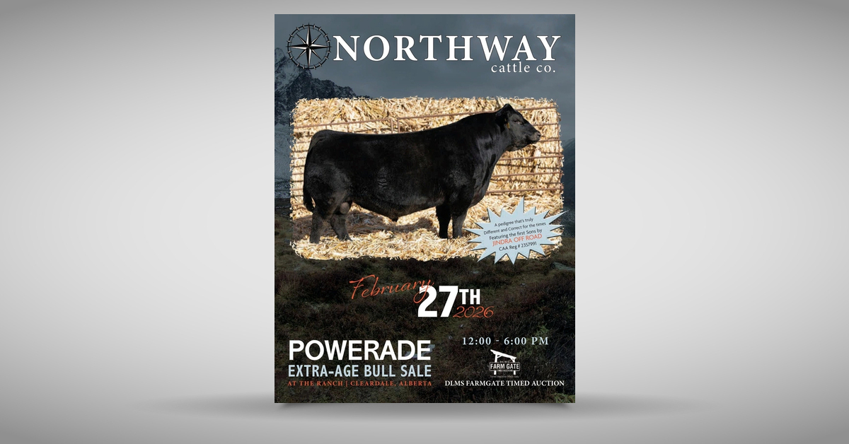 Northway Cattle Co 7th Annual Bull & Female Sale 2026
