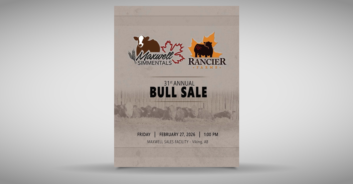Maxwell/Rancier 31st Annual Bull Sale 2026