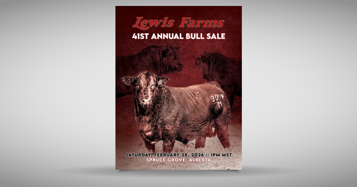 Lewis Farms 41st Anniversary Bull Sale 2026