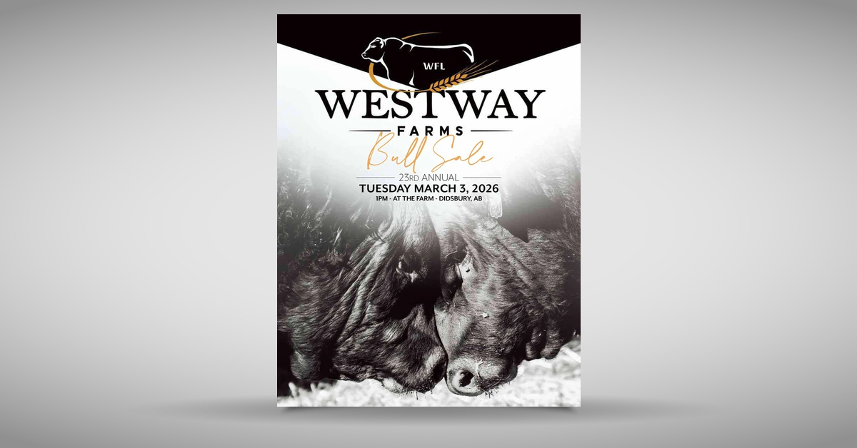 Westway Farms 23rd Annual Bull Sale 2026