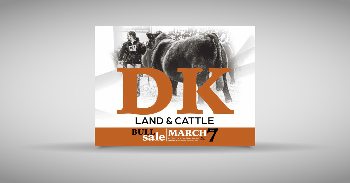 DK Land & Cattle Bull Sale 2026