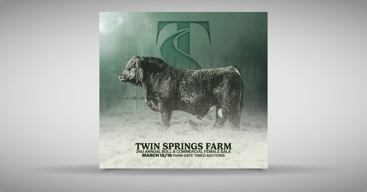 Twin Springs Farm 2nd Annual Bull & Commercial Female Sale 2026