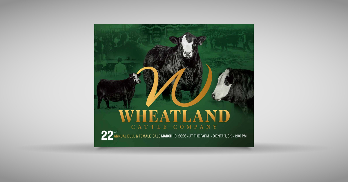 Wheatland Cattle Co 22nd Annual Bull Sale 2026