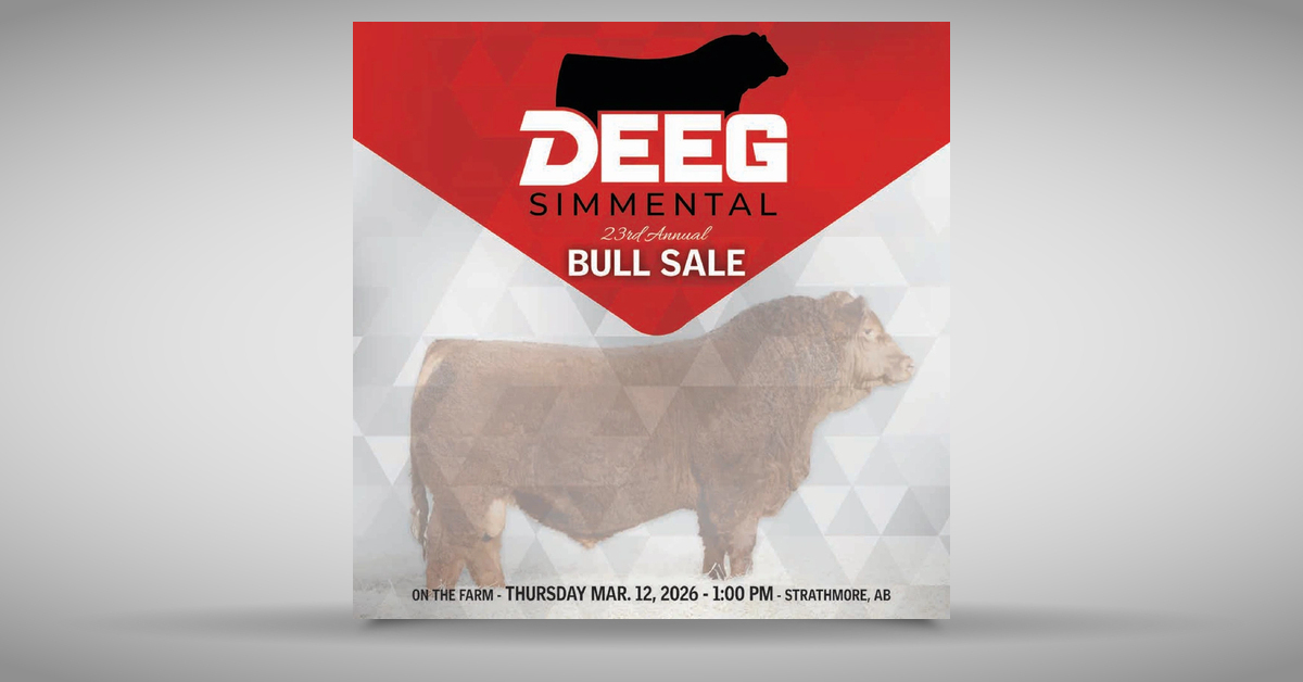 Deeg Simmentals 23rd Annual Bull & Female Sale 2026
