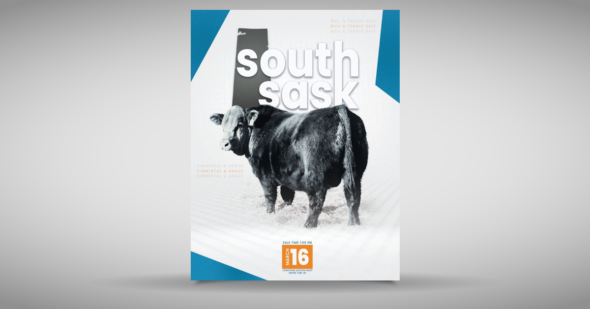 South Sask Simmental and Angus Bull Sale 2026