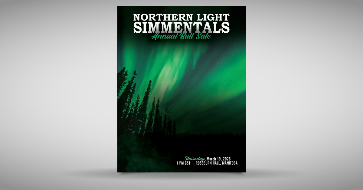 Northern Light Simmentals Annual Bull & Female Sale 2026