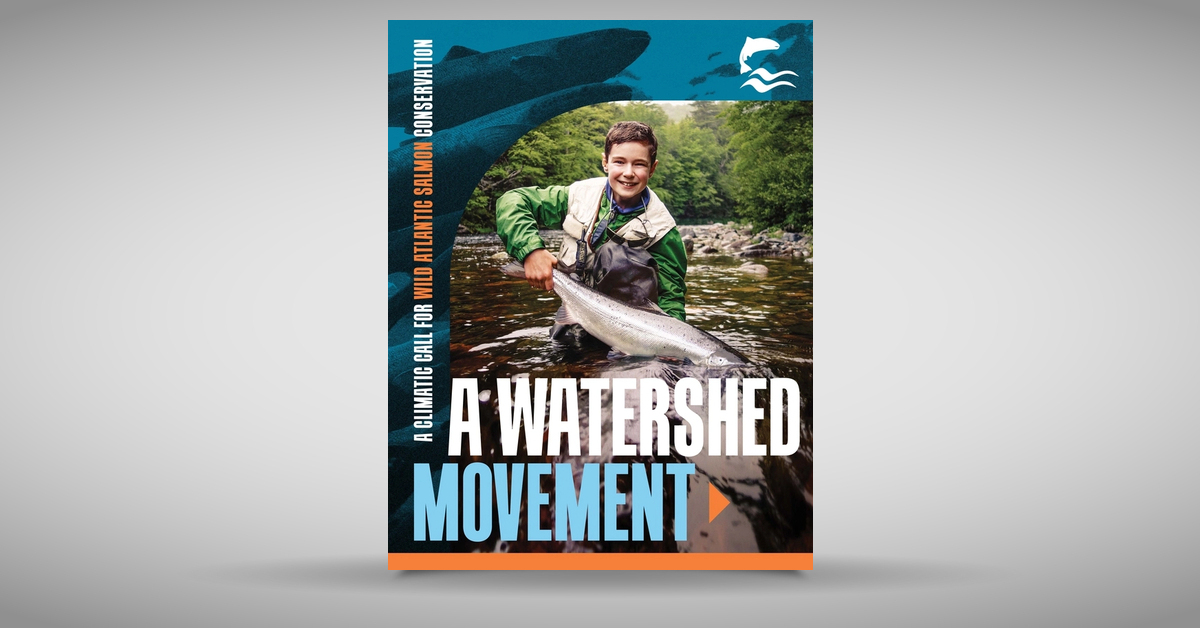 ASF Watershed Movement