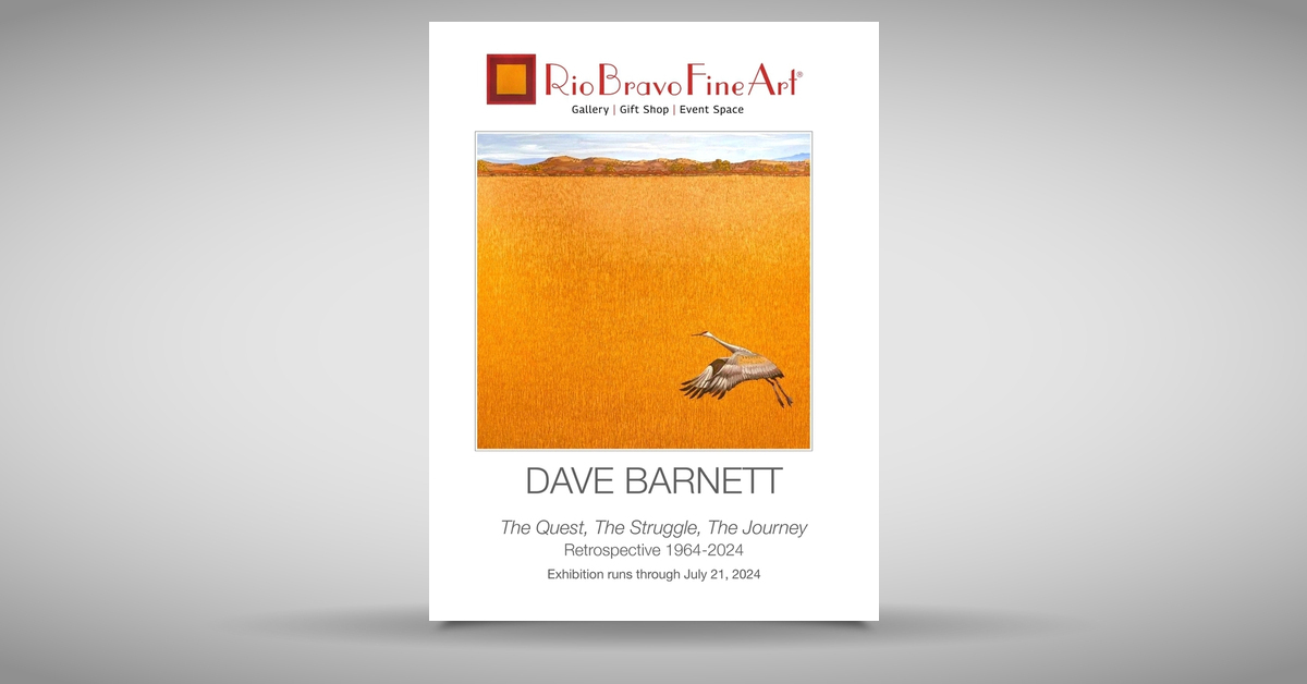 DAVE BARNETT FLIP BOOK