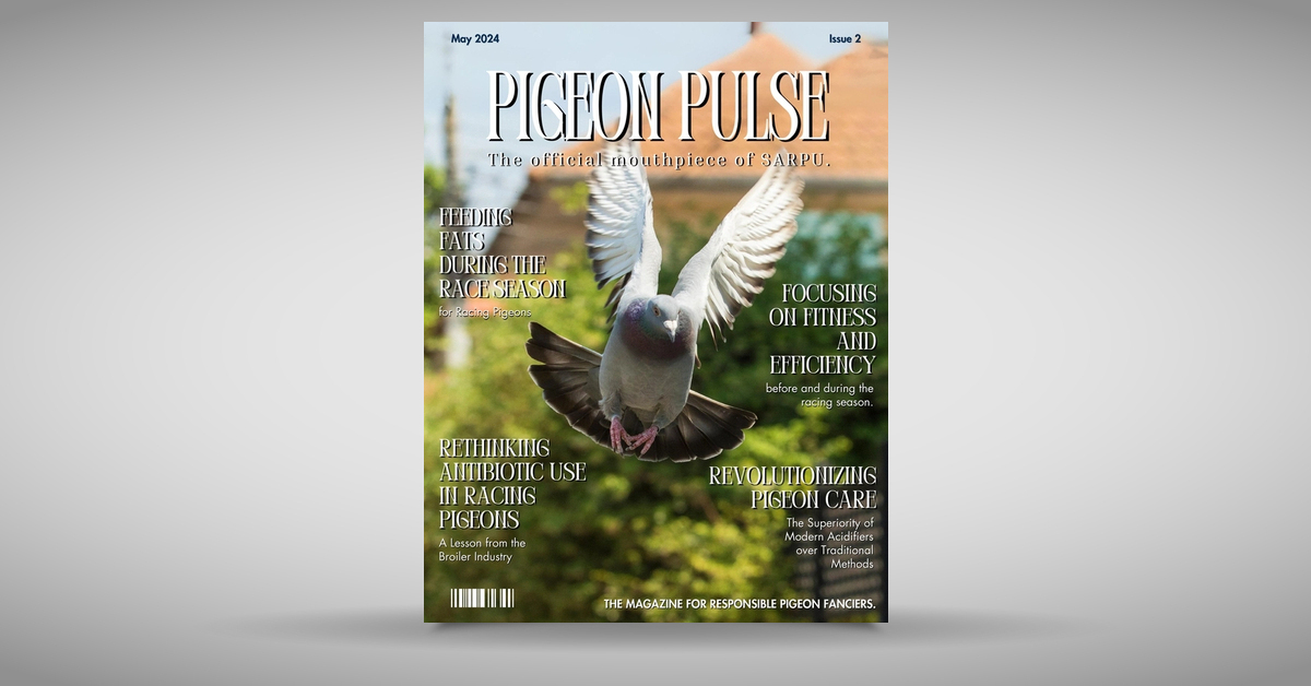 Pigeon Pulse Issue 2 May 2024 / Duiwe Pols Uitgawe 2 Mei 2024