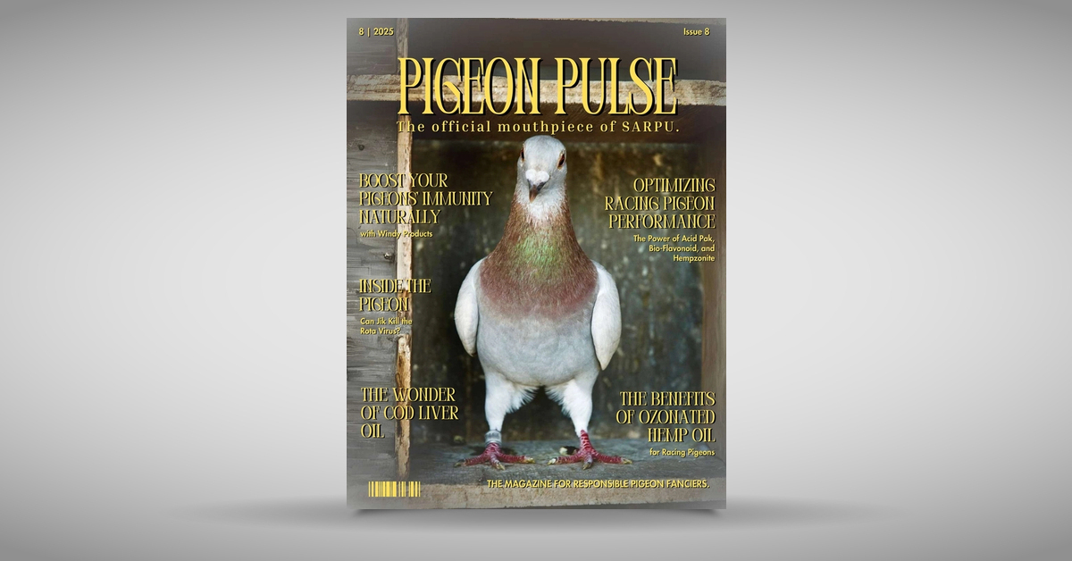 Pigeon Pulse Issue 8 2025 Duiwe Pols Uitgawe 8 2025