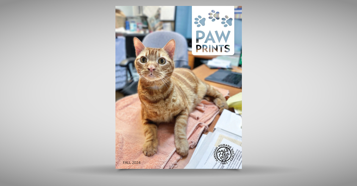 Paw Prints by Hawaiian Humane (Fall 2024)