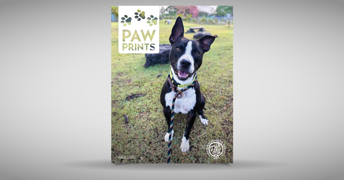 Paw Prints by Hawaiian Humane (Fall 2025)