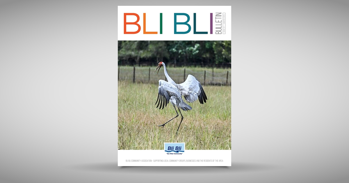 BBB_Issue57_Winter 2025