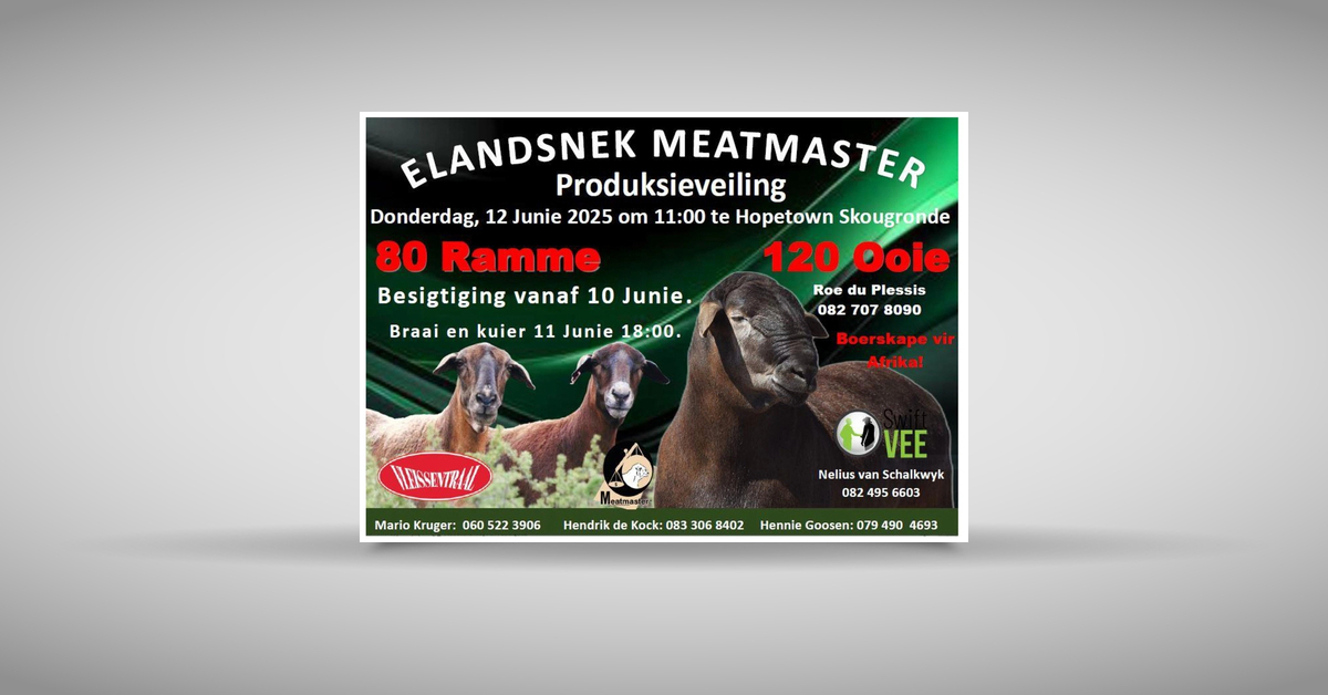 Ram-Katalogus Elandsnek Meatmaster Produksieveiling 12 Junie Ramkatalogus